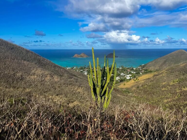 Your Ultimate Guide to Hawaii Weather by Month: What to Expect Year-Round