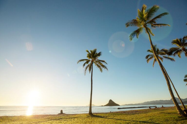 Christmas in Hawaii: 7 Unique Traditions for a Tropical Holiday Escape