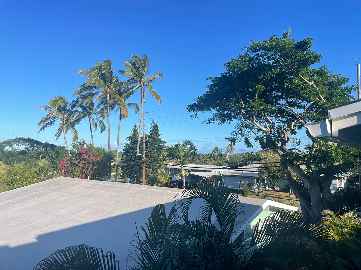 Living in Kailua: A Local's Guide to Paradise in 2025 [Honest Review]