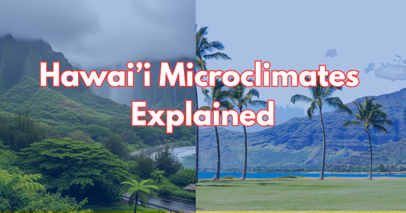 Hawaii Microclimates Explained: Finding Your Perfect Island Weather (2026)